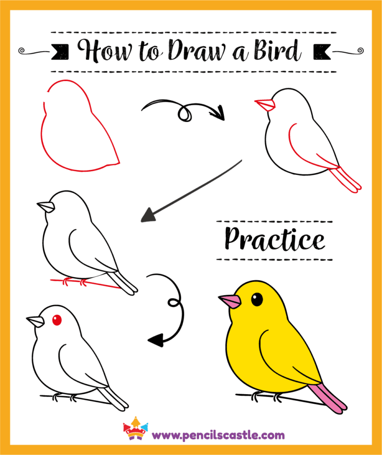 How to Draw a Bird for Kids (Easy Drawing + Free PDF) - Pencils Castle