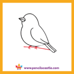 How to Draw a Bird for Kids (Easy Drawing + Free PDF) - Pencils Castle