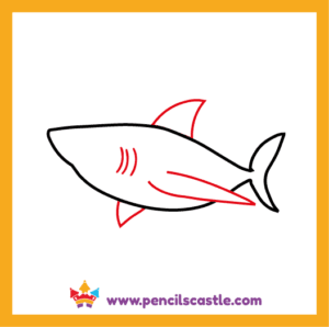 How to Draw a Shark for Kids ( Easy Drawing + Free PDF) - Pencils Castle