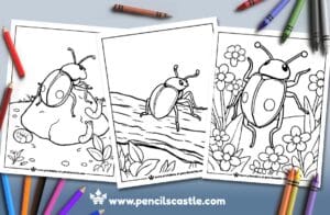 26 Beetle Coloring Pages (Free Printable PDFs) - Pencils Castle