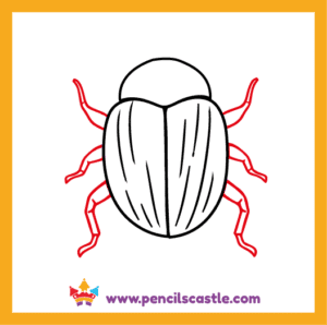 Beetle Drawing Guide For Kids Easy Steps Free Pdf Pencils Castle