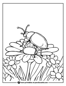 26 Beetle Coloring Pages (Free Printable PDFs) - Pencils Castle