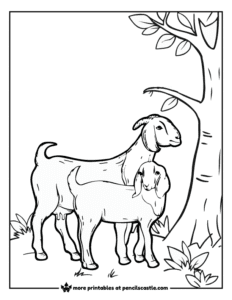 40 Goat Coloring Pages (Free Printable PDFs) - Pencils Castle