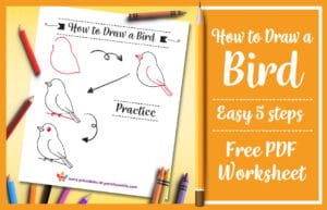 How to Draw a Bird for Kids (Easy Drawing + Free PDF) - Pencils Castle