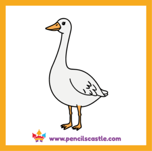 Goose Drawing Guide - Easy Steps For Kids - Pencils Castle