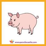 Pig Drawing For Kids - Easy Step by Step Guide - Pencils Castle