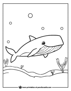 30 Whale Coloring Pages (Free Printable PDFs) - Pencils Castle