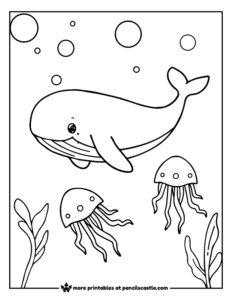 30 Whale Coloring Pages (Free Printable PDFs) - Pencils Castle