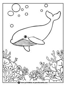 30 Whale Coloring Pages (Free Printable PDFs) - Pencils Castle