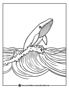 30 Whale Coloring Pages (Free Printable PDFs) - Pencils Castle